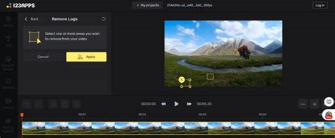 Remove Watermark From Video 11 Ways You Can Follow