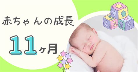 赤ちゃん11ヵ月成長 発育発達・生活の様子｜妊娠・出産・育児 明日もママ頑張るよ！