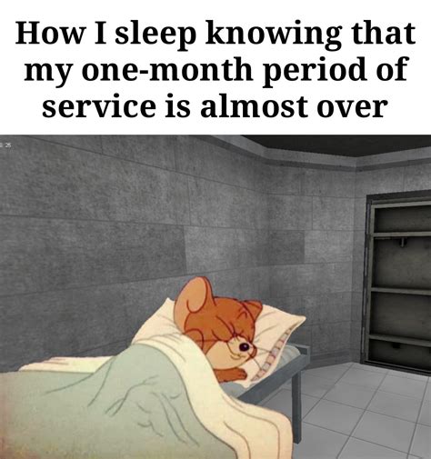 Making An Scp Meme Everyday For Every Scp Day 1199 R