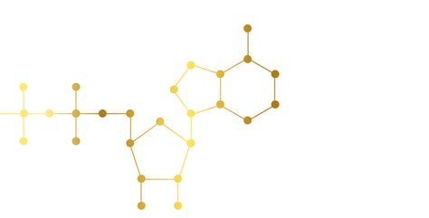 Home Ecell Anti Aging Technologies