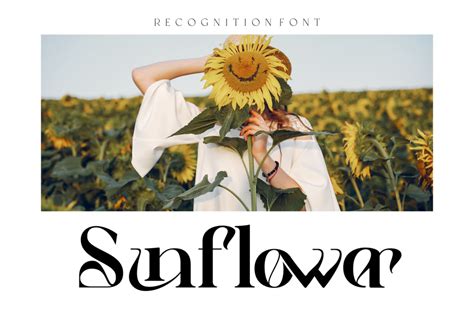 Recognition Demo Font · 1001 Fonts