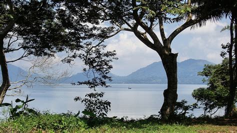 Natura Veracruz Ecoturismo Y Conservación Tebanca