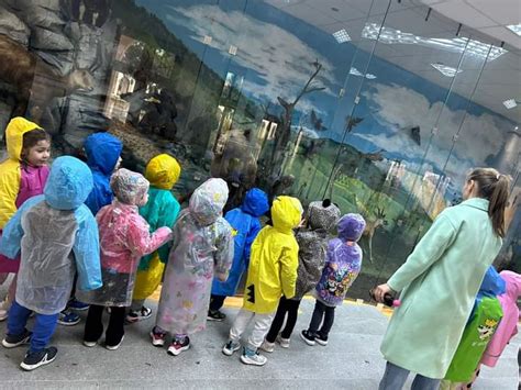 Ziua Internațională a Păsărilor celebrată la Complexul Muzeal Bistrița Năsăud FOTO StiriBN