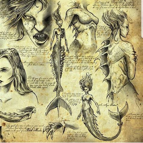 Lexicon Monster Anatomy Fantasy Art Monstros Clássicos Criaturas