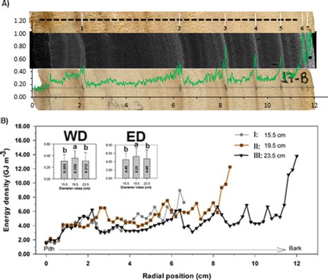 Annual Tree Rings Of S Amazonicum Defined By Differential X Ray