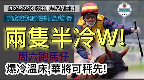 小梁論馬 12月18日 沙田兩泥八草日賽 兩隻半冷w！ 周六跑馬仔 爆冷溫床，華將可秤先！ 賽馬kol 小梁