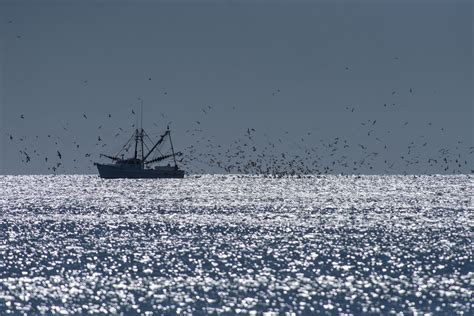 Court Upholds That Trawling Doesnt Violate Clean Water Act Coastal