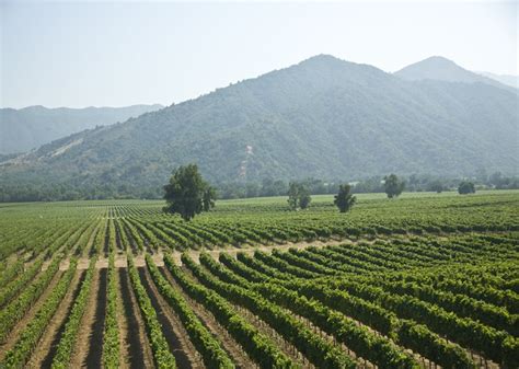 Central Valley Travel Guide Discover The Best Time To Go Places To