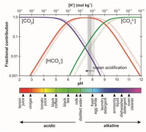 Ocean Acidification Learn Science At Scitable