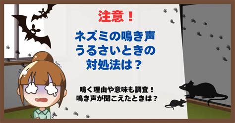 ネズミの鳴き声うるさいときの対処法は？鳴く理由や意味も調査！鳴き声が聞こえたときは？ 害獣駆除業社おすすめ徹底比較！