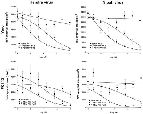 Inhibition Of Hendra Virus And Nipah Virus Infection By N Terminal And Download Scientific