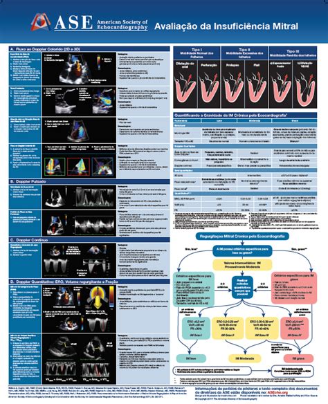 Ase Echo Normal Values