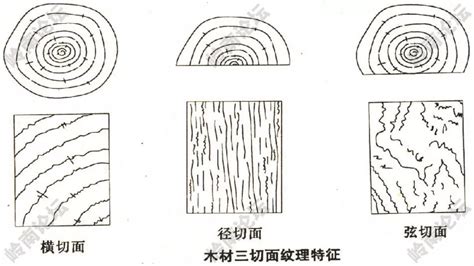 简笔画木板 木板简笔画 第2页 大山谷图库