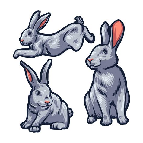 Jumping Rabbit And Run Rabit 23876882 Vector Art At Vecteezy