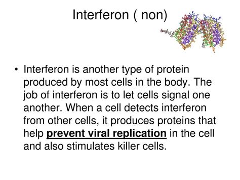 Ppt The Immune System Powerpoint Presentation Free Download Id 6074859
