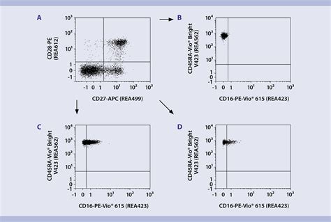 Immunophenotyping Human γδ T Cells Protocol Miltenyi Biotec Usa