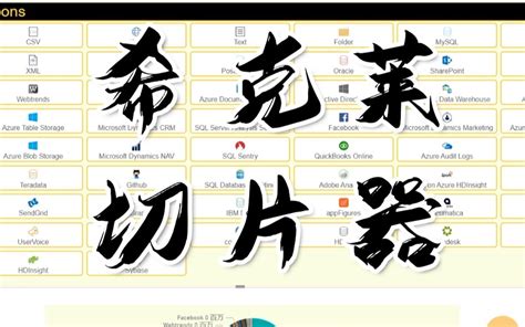 【powerbi】在切片器中放入图片~希克莱切片器！第三方视觉对象专题课 杜恩泽爱学习 杜恩泽爱学习 哔哩哔哩视频