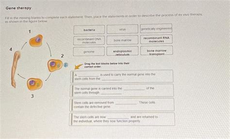 Solved Gene Therapy Fill In The Missing Blanks To Complete