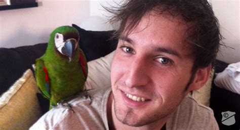 Stefan Riederer Im Br