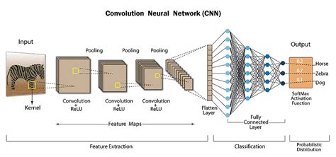 Deep Learning Cnn에 대한 기본 설명 With Pooling Padding — 데이터 노트 📝
