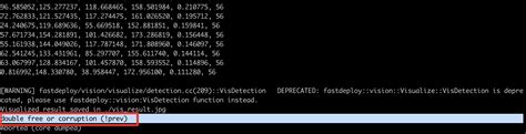 Backend Paddledetection Picodet Demo 开启paddletrt出现double Free Or
