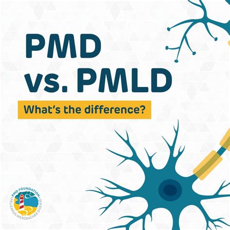 Pmd Vs Pmld Whats The Difference The Pmd Foundation Posted On The