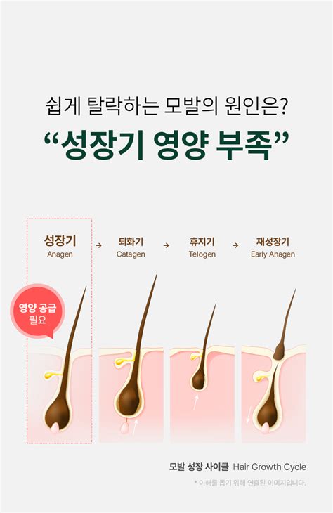 탈모증상완화 헤어라인 눈썹 두피앰플 15ml