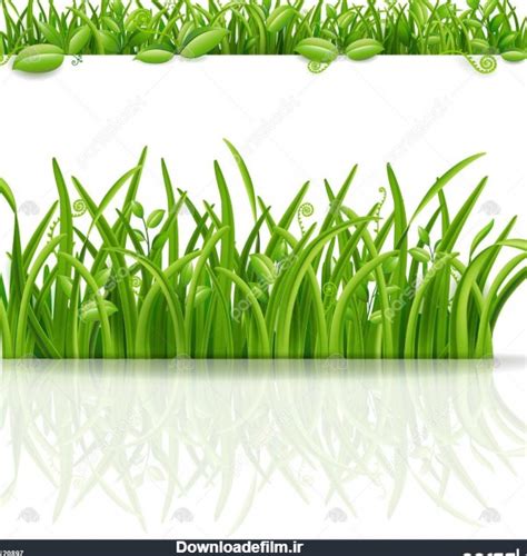 عکس چمن کارتونی