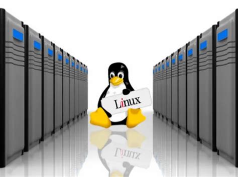 Linux Dedicated Hosting Server At Best Price In Mumbai ID 20782826188
