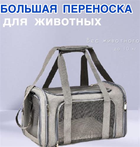 большая переноска для кошек и собак средних пород с лежанкой в самолет ...
