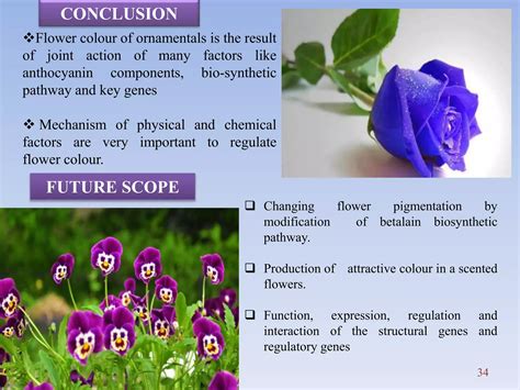 Flower Colour Modification Pptx