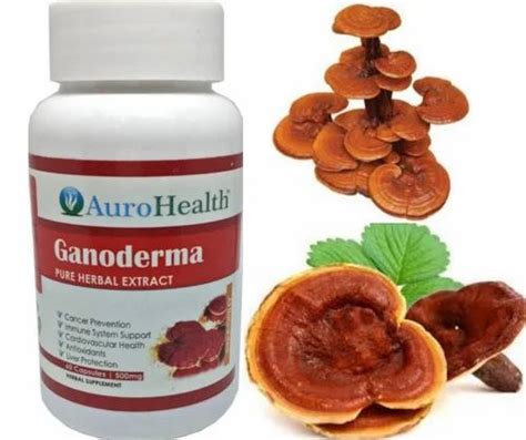 Ganoderma Extract Capsules At ₹ 210bottle In New Delhi Id 20183202412