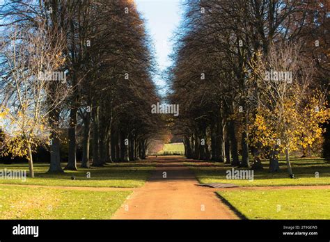 Autumn Trees In Colour Stock Photo Alamy