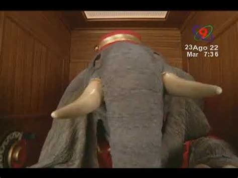 El Mundo De Elmo Elmo S World The Elephant Elevator Operator Short
