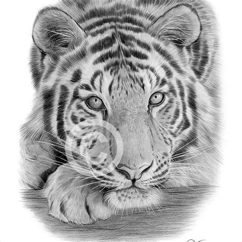 Sumatran Etsy