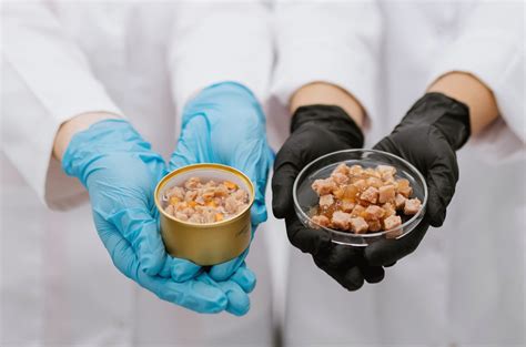 Your Pets Can Now Eat Meat Thats ‘grown In A Lab