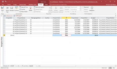 افزودن داده در Microsoft Access