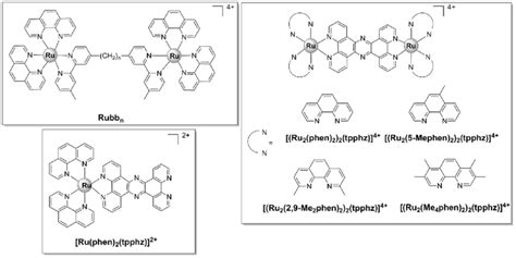 Chemical Structures Of The Inert Dinuclear Rubbn Ru2phen2tpphz