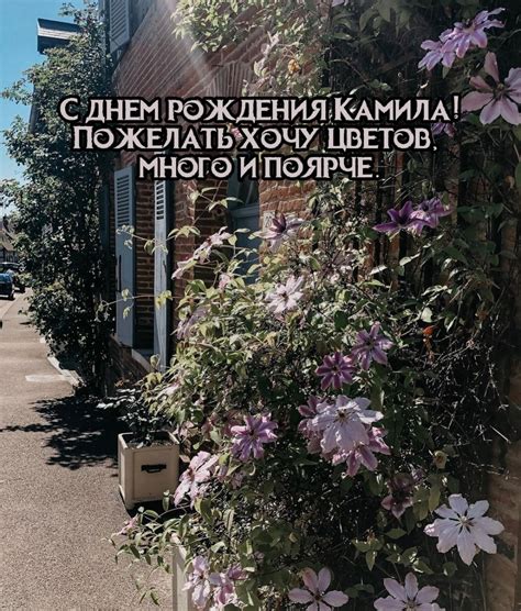 С днем рождения Камила Пожелать хочу цветов много и поярче