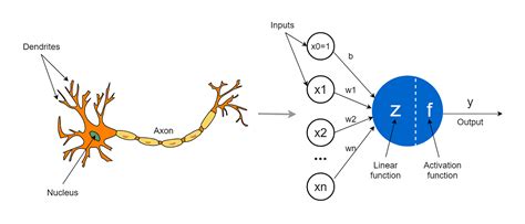 The Concept Of Artificial Neurons Perceptrons In Neural Networks By Rukshan Pramoditha