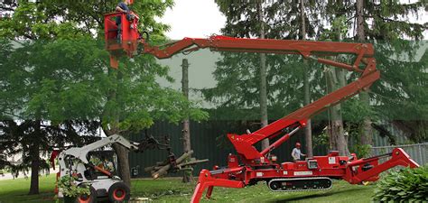 Tree Services Spider Lift Artistic Tree Landscape Creation