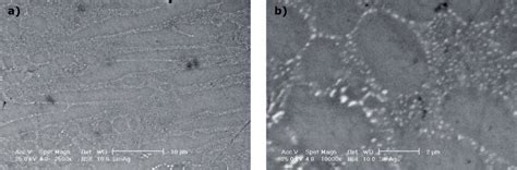 Structure of Sn96Ag4 connection; a) magnification 2500x, b ...
