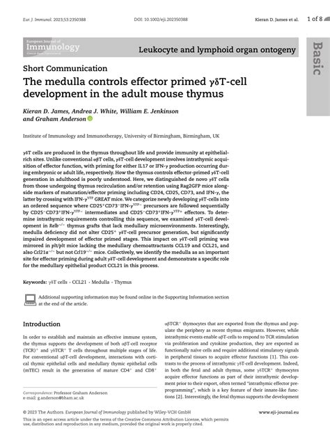Pdf The Medulla Controls Effector Primed γδt‐cell Developmenti In The