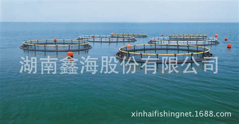 养鱼网箱制作简图简易网箱制作图片箱式养鱼池大山谷图库