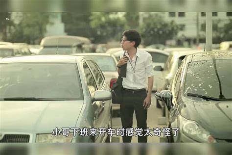 小哥给流浪狗一串鱼丸，狗狗回报他一个漂亮女友，简直太让人羡慕鱼丸回报狗狗