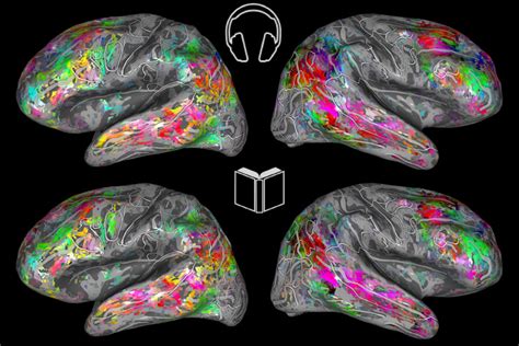 A Map Of The Brain Could Help To Guess What Youre Reading MIT Technology Review