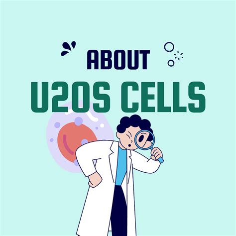 About U2os Cells Nanoentek Blog