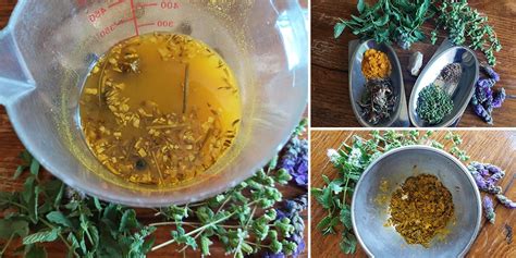 Herbal Anti Bloating Shots The Lost Herbs