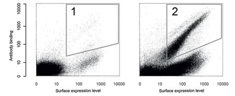 Flow Cytometry