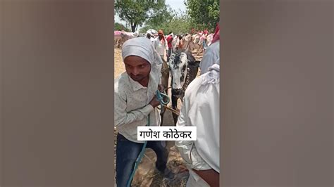 Hirapur Bail Bazar Ganesh Kothekar Vairal New Hirapur Youtubeshorts